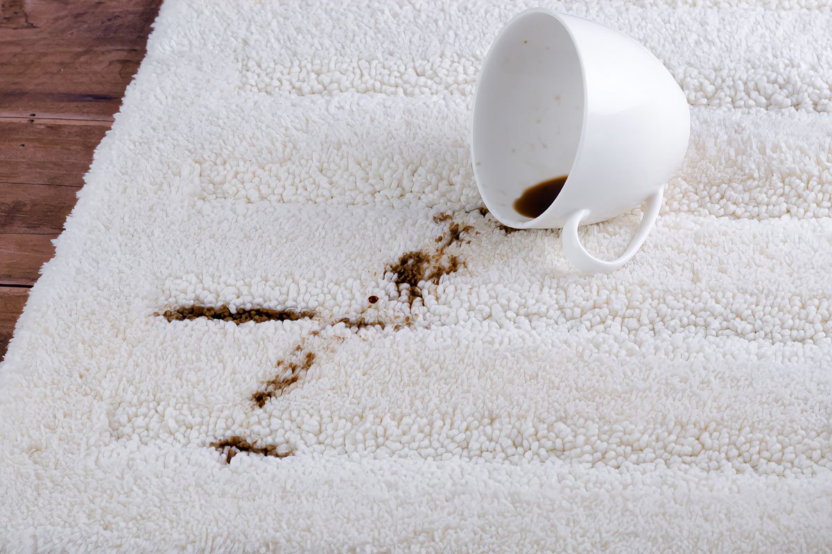 How do you clean up coffee spills from carpet?